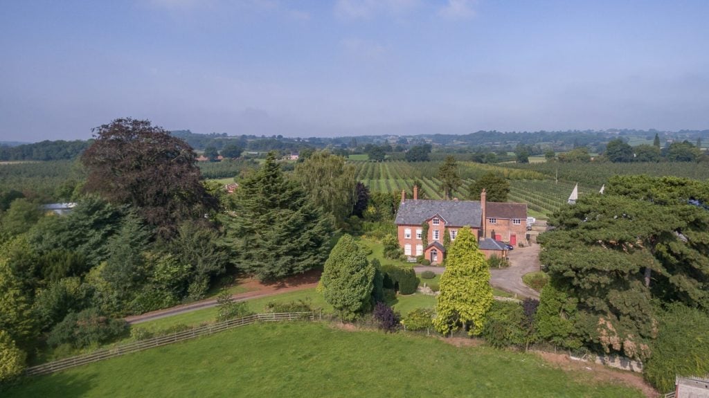 Temple Court Farm - Infinity Christmas Trees